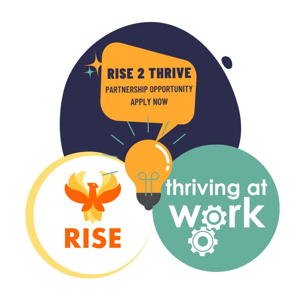 Rise 2 Thrive - New Partnership Opportunity for North Yorkshire ...